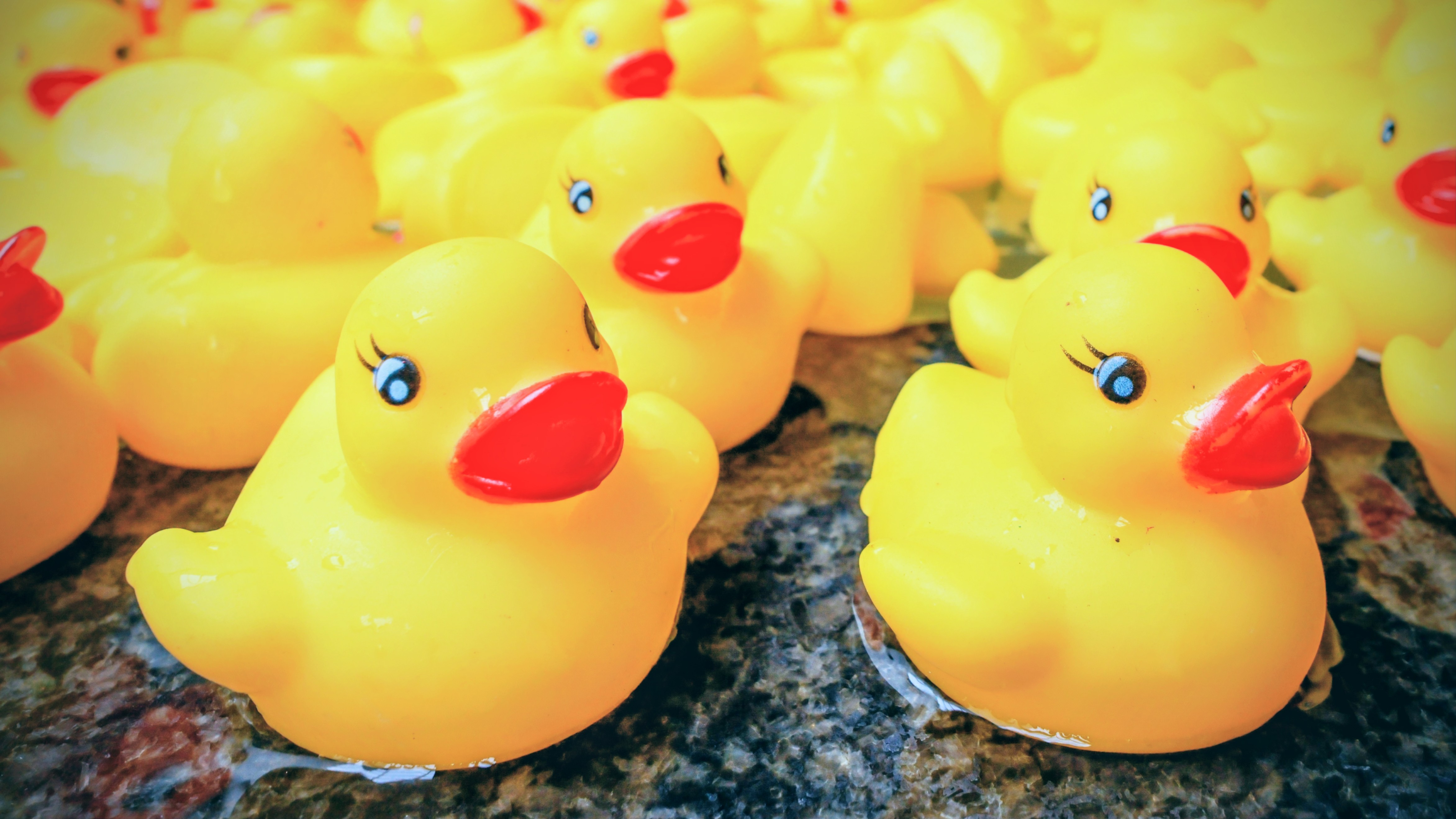 レトロ銭湯＆あひる風呂開催 | いなべ阿下喜ベース